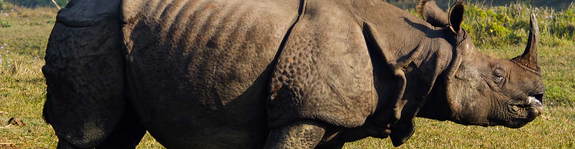 Rumanyika Karagwe National Park | Bright African Safaris